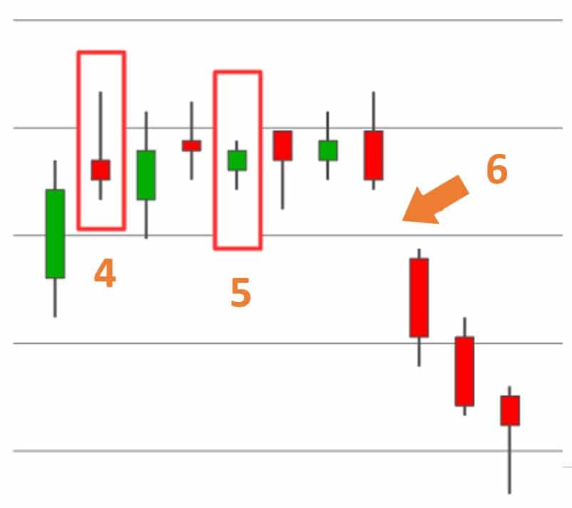 How to read candlestick charts | Fat Pig Signals